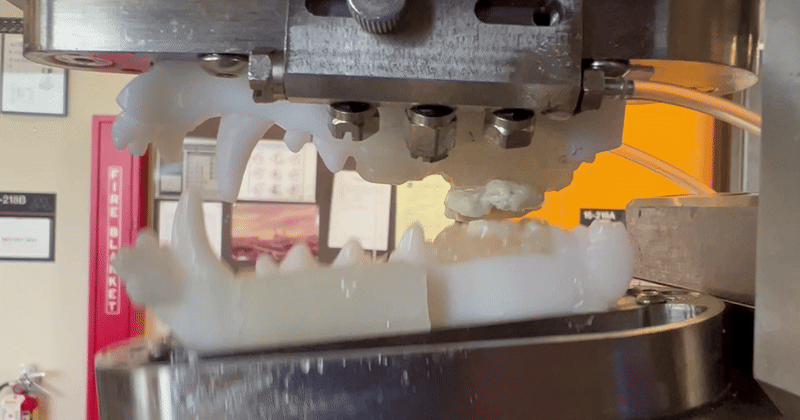 Scientists’ new gum stops spread of flu and herpes | Health ...