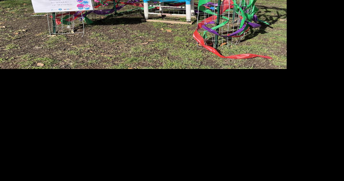 Yard Art Contest winners announced | Archives | douglascountysentinel.com