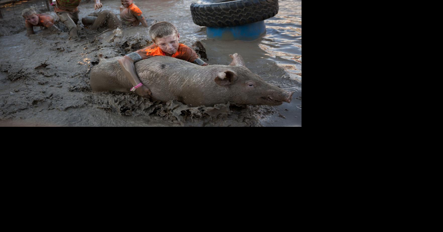 Critics want pig wrestling to stay in the past | Local News ...
