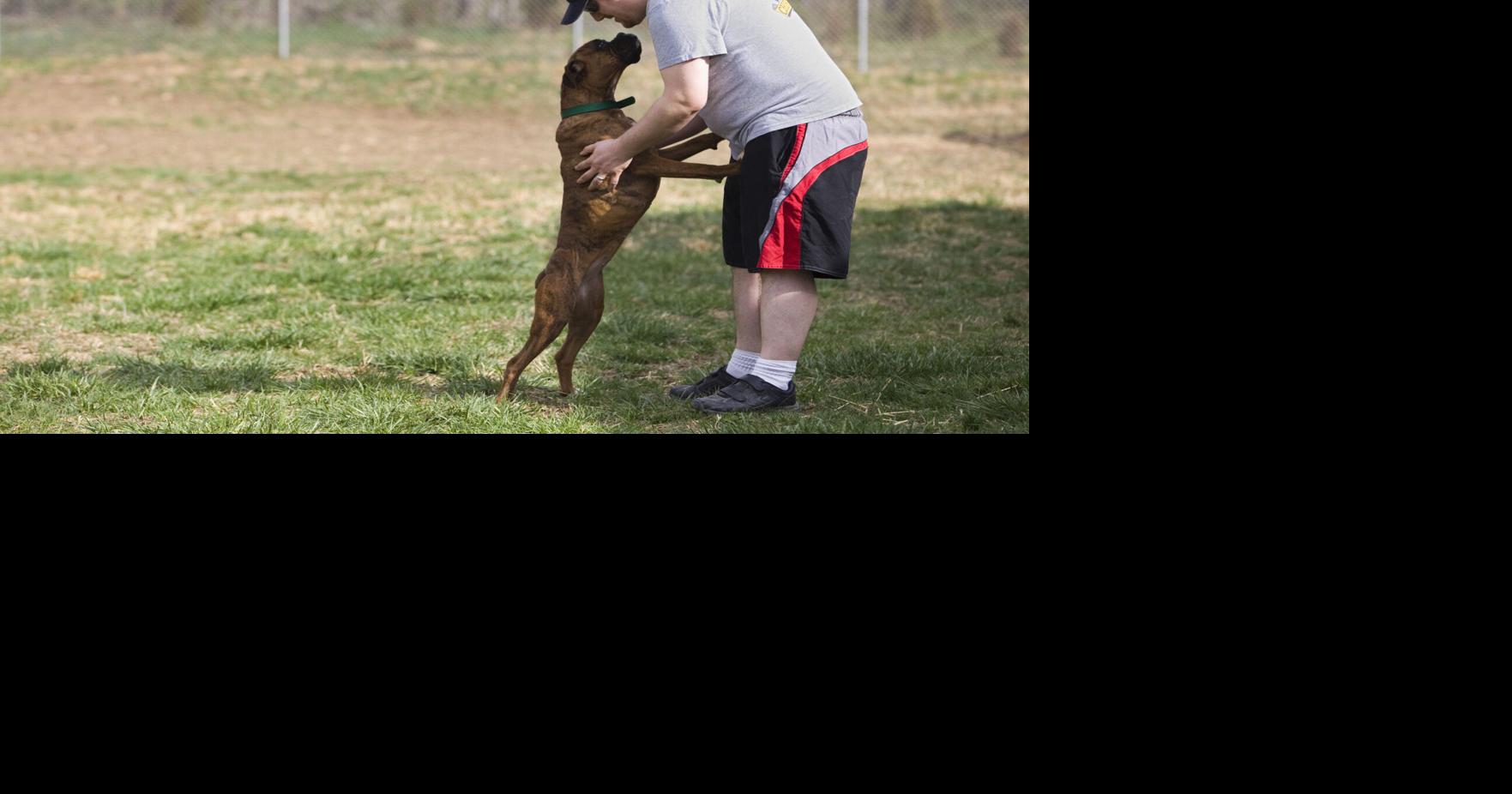 Zoning rules force animal shelter to move | Local News ...