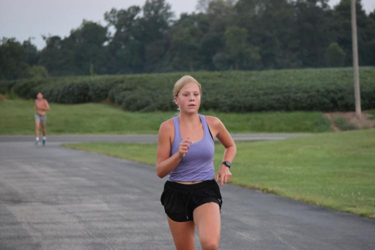 Cats cross country dealing with different questions | Sports ...