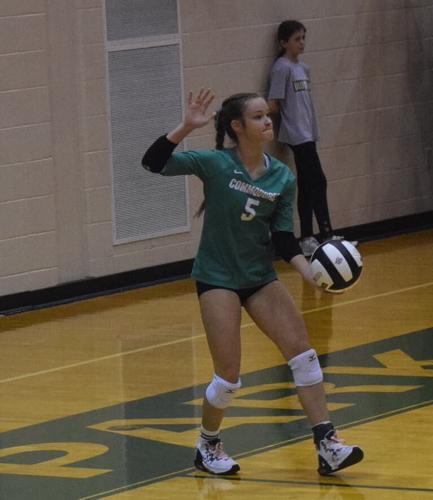 Commodores defeat Rangers, fall to Vikings | Perry County News ...