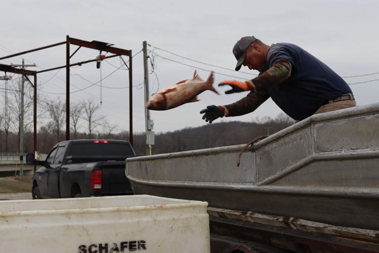 Fisherman come to Cannelton to help eliminate invasive fish | News ...