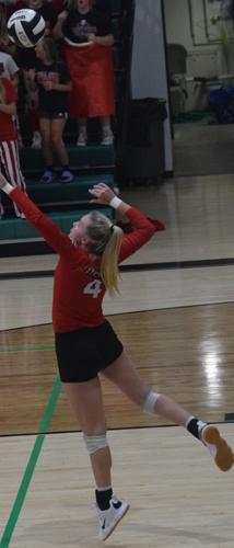 Eight Perry County volleyball players honored for academics | Perry ...
