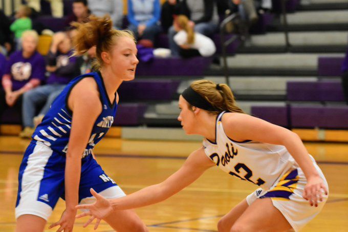Paoli girls' basketball names award winners | Sports ...