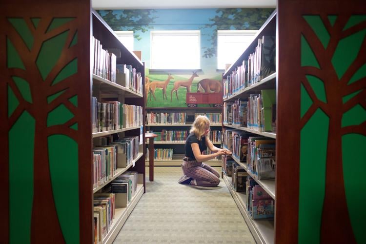 Libraries are open, but with safety measures | Local News ...