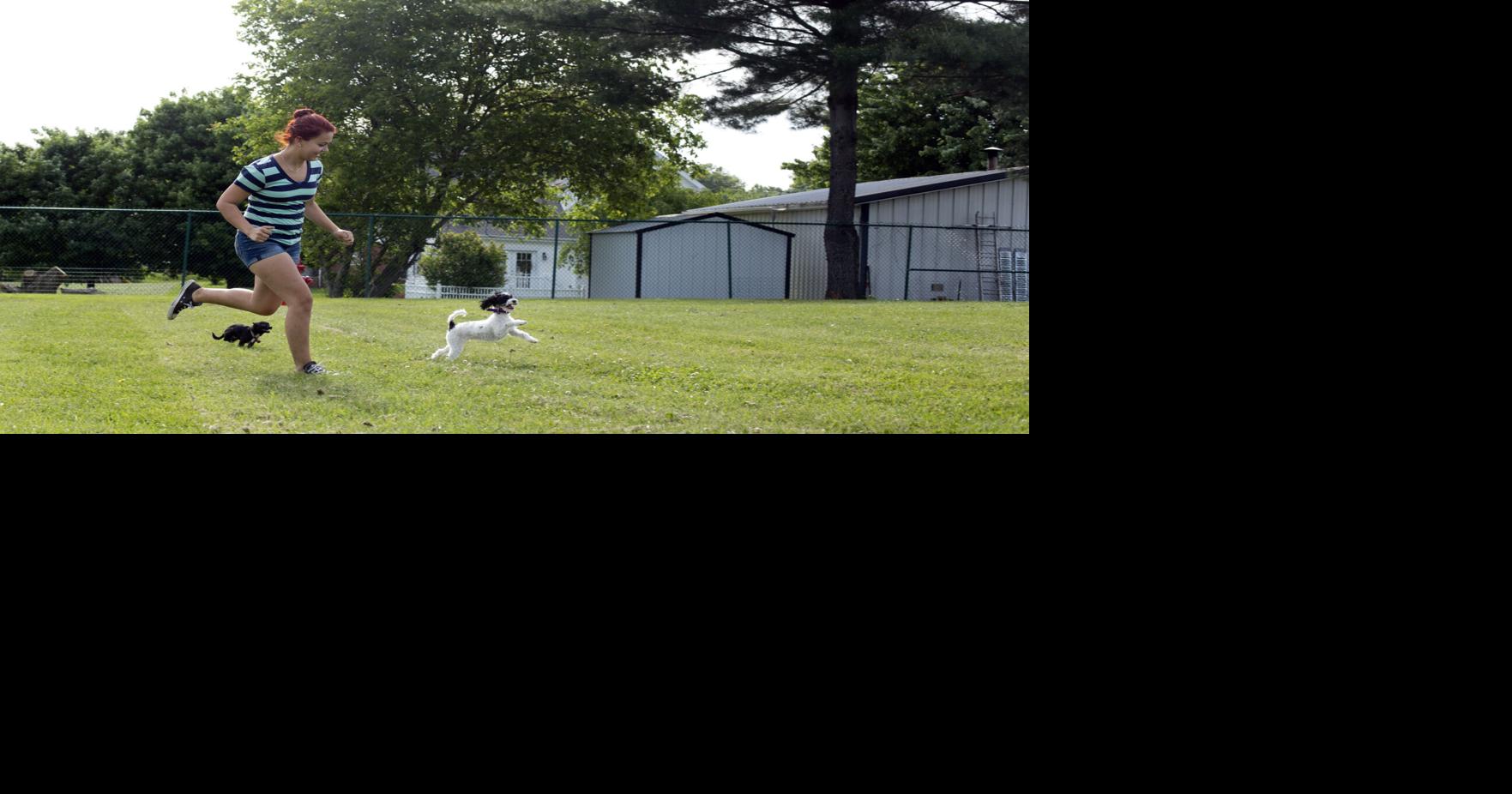 Dog days: Pooch’s Playground officially open | Local News ...