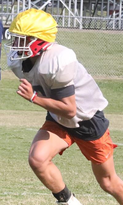 ‘Balancing act’: Former pro grooming son, Goldsberry | Sports ...