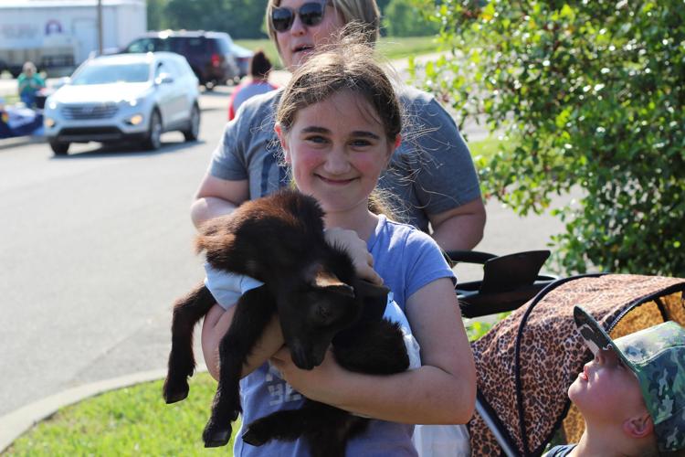 Group hosts second annual mental health walk | News ...