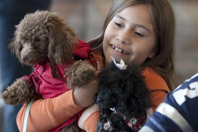 Photo: Lunch on a leash | Local News | duboiscountyherald.com