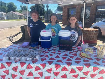 Lemonade for the cats | News | duboiscountyherald.com
