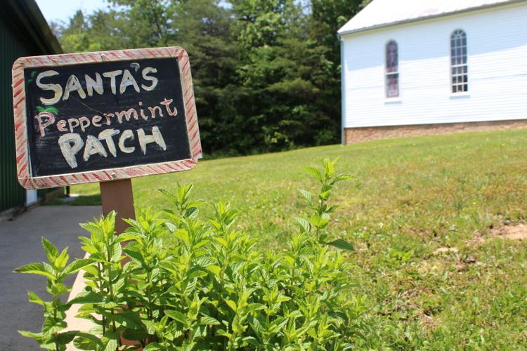 Peppermint Day at the Santa Claus Museum and Village | Spencer County ...