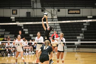 Dogs notch three successive sets against Cats | Sports ...