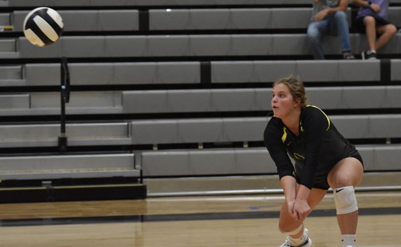 Volleyball: Barr-Reeve too much for Springs Valley | Sports ...