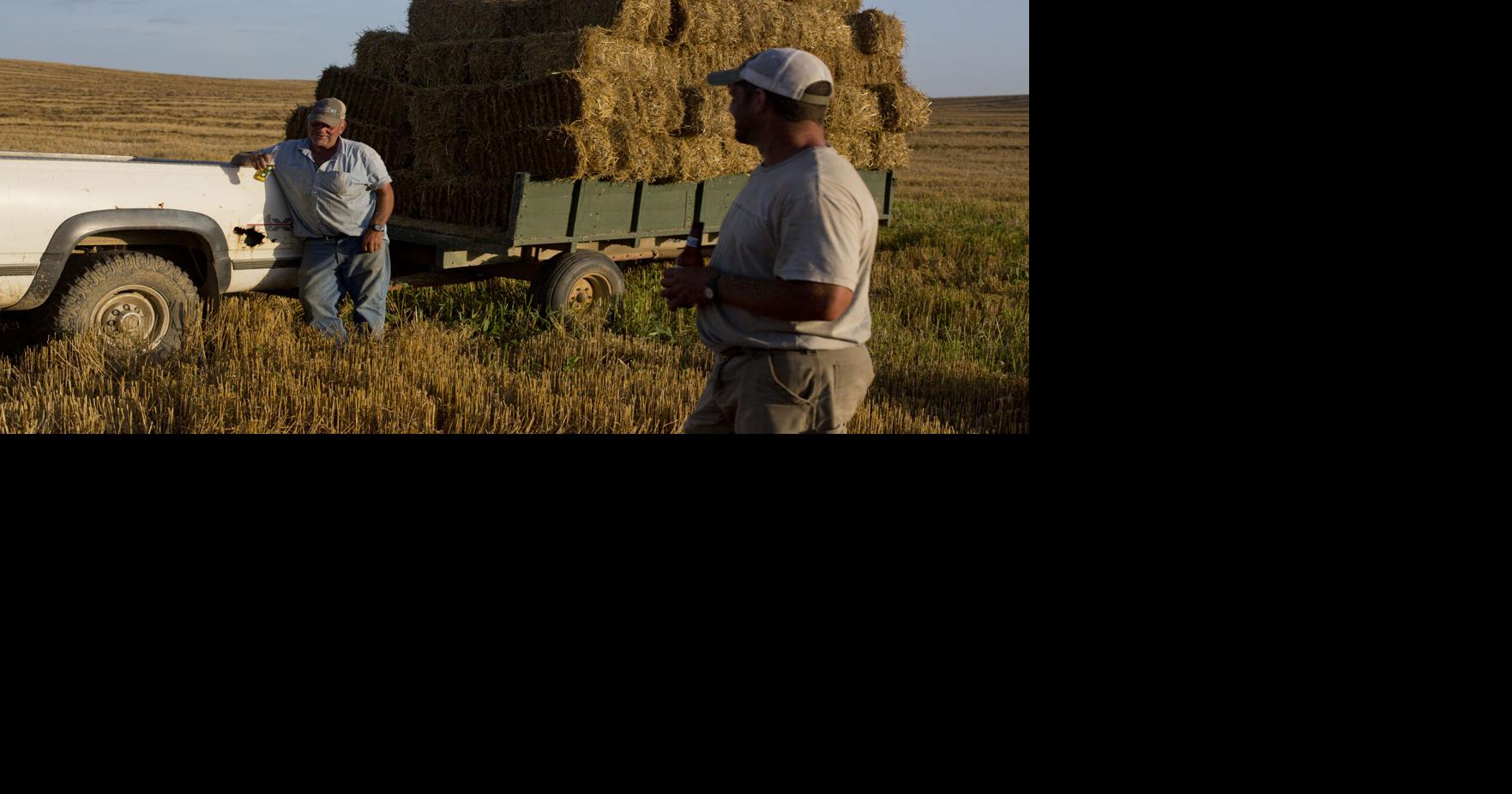 Call It A Hay | Photos | duboiscountyherald.com