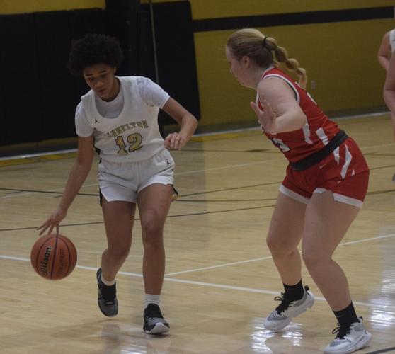 Final regular season week for girls basketball | Perry County News ...