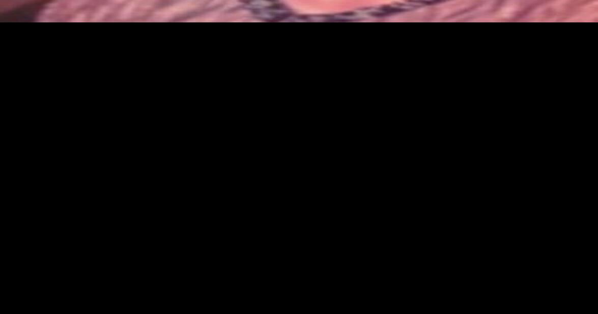 Diane M. Hurst, 69, St. Anthony | Obituaries | duboiscountyherald.com