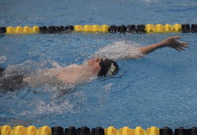 Wildcats win back-to-back sectional titles | Sports ...