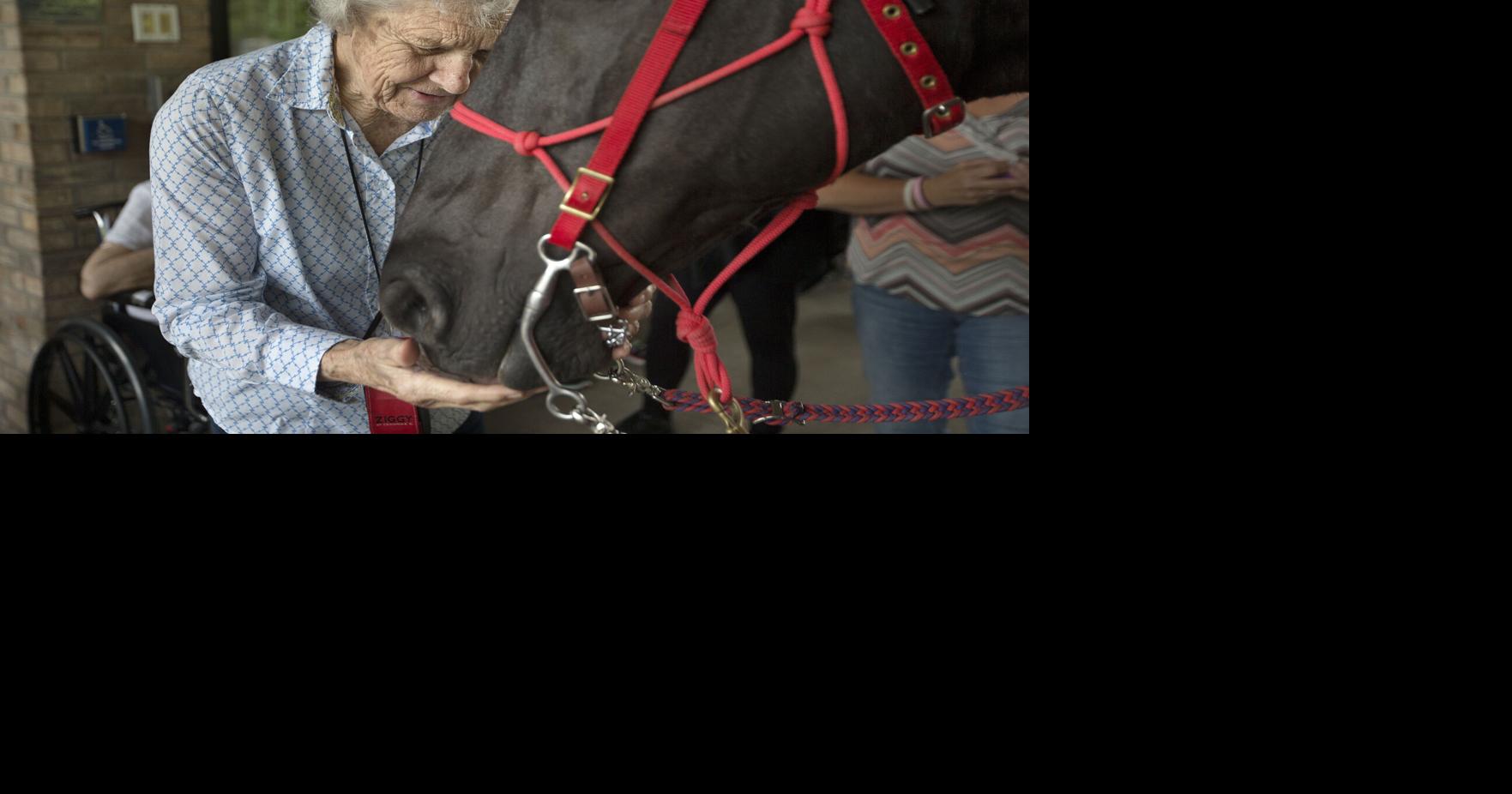 Mane Attraction | Photos | duboiscountyherald.com