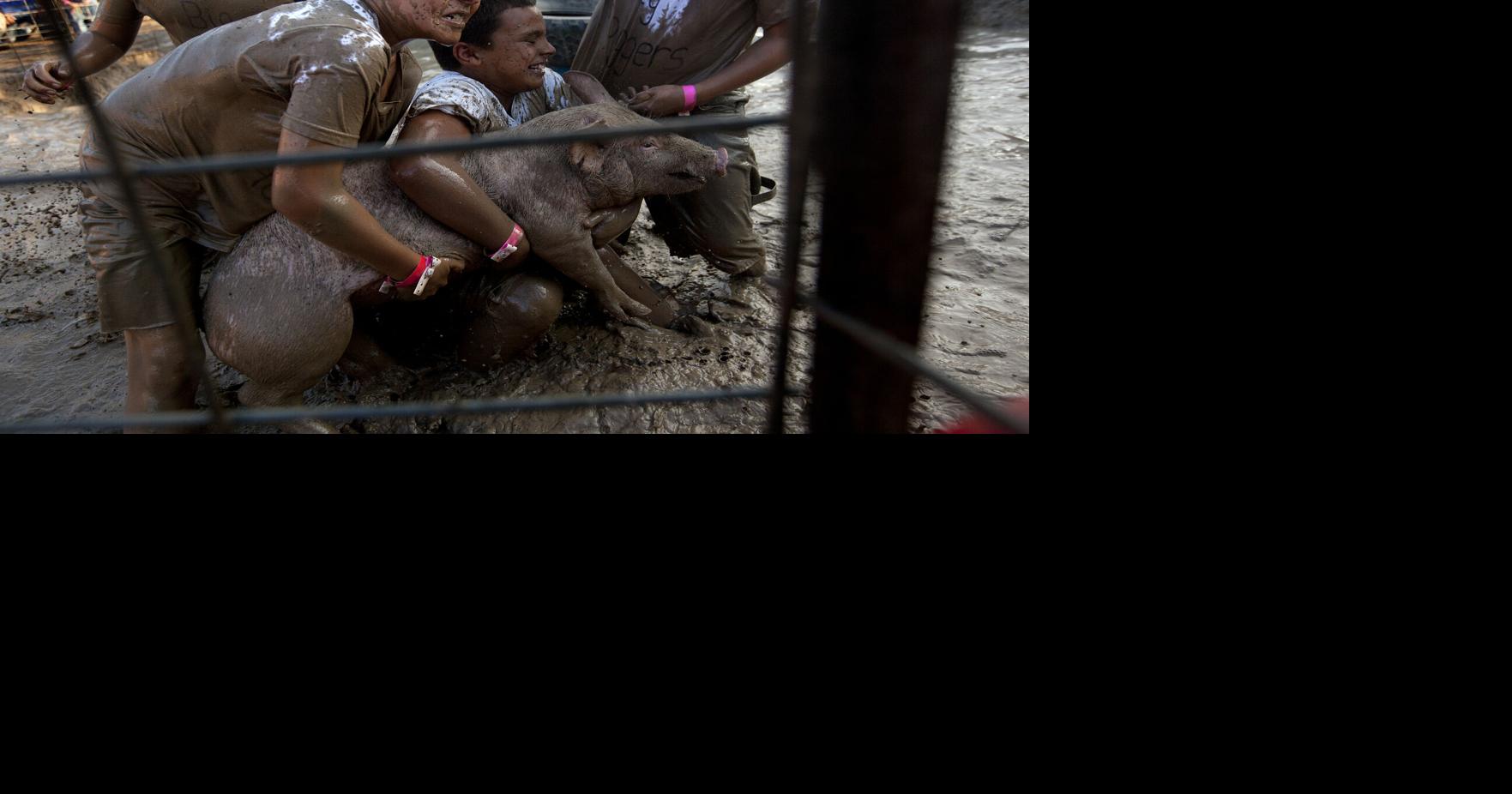 4-H Fair: Mud-caked wrestlers in hog heaven | Local News ...