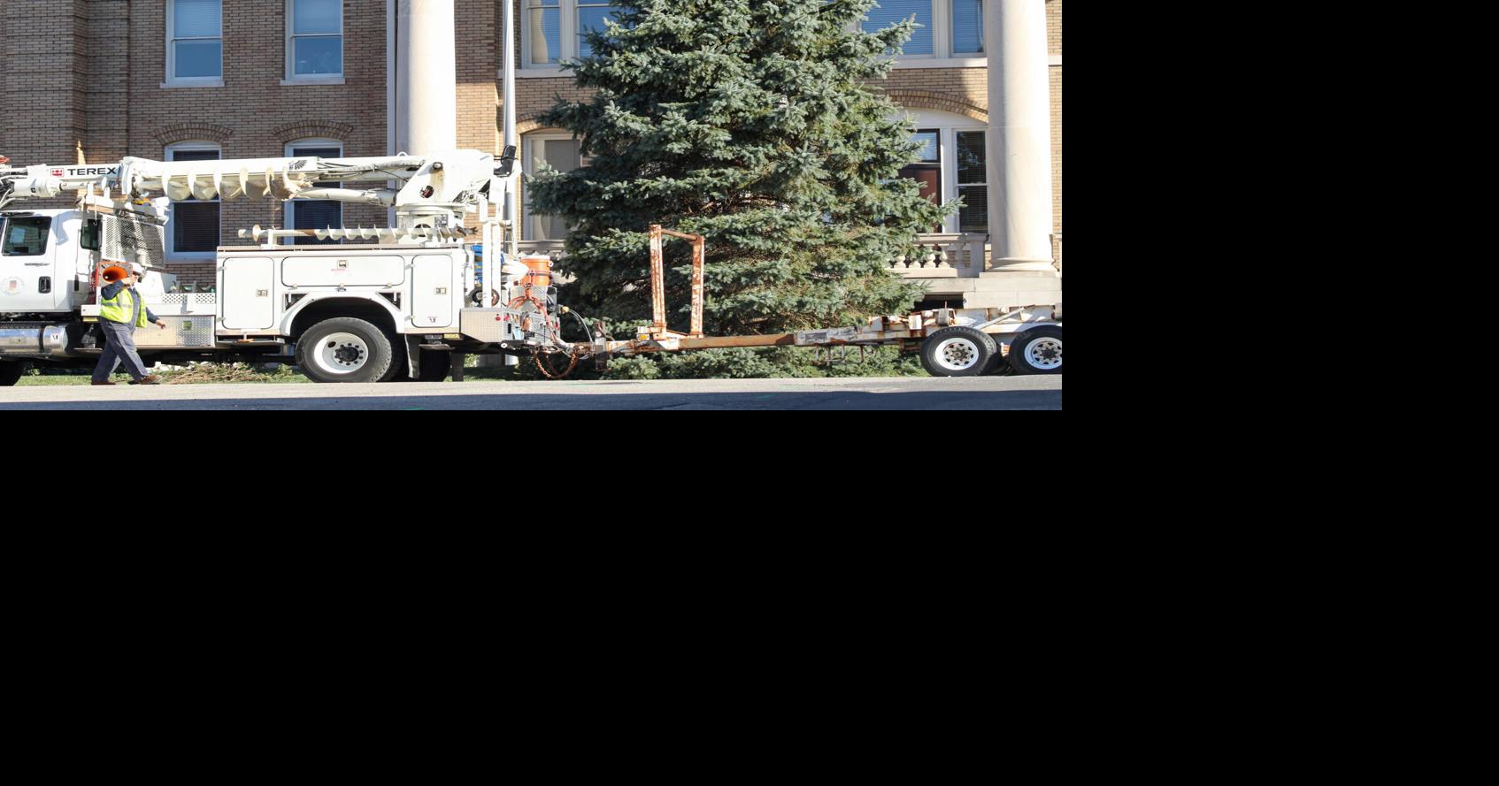 Community Christmas Tree placed on courthouse lawn | Community ...