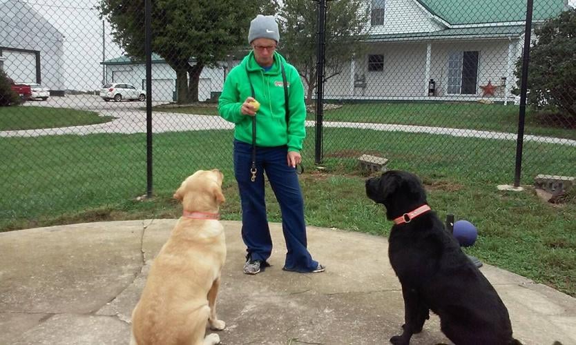 New partners bring dog training expertise | Local News ...