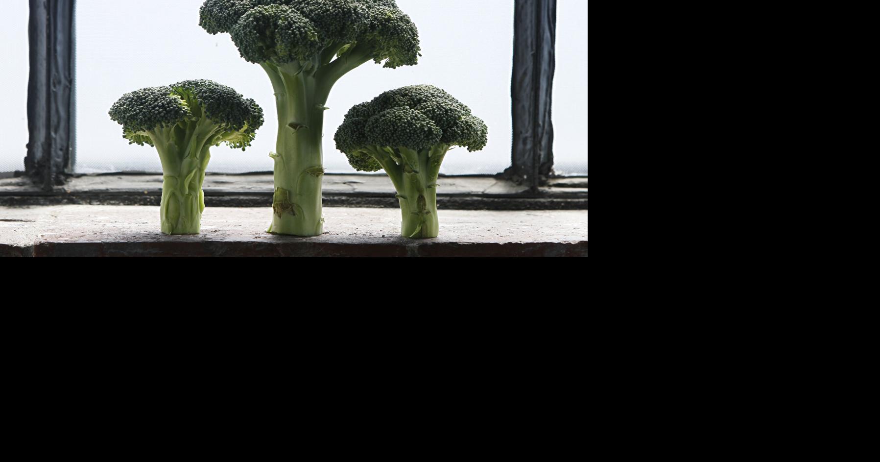 Bipartisan Broccoli | Local News | duboiscountyherald.com