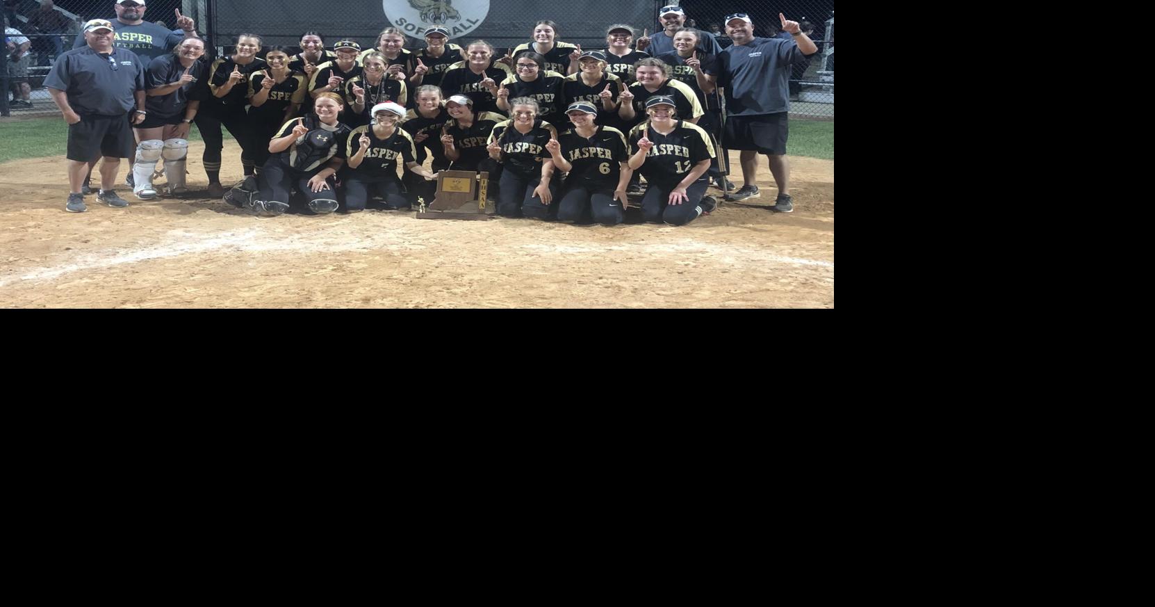 Wildcats rally to stun Patriots for sectional title | Sports ...