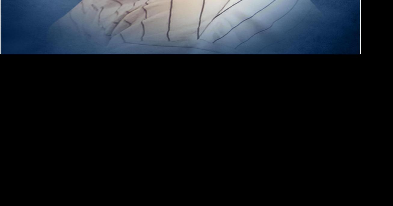 Michael Croucher | Obituaries | duboiscountyherald.com