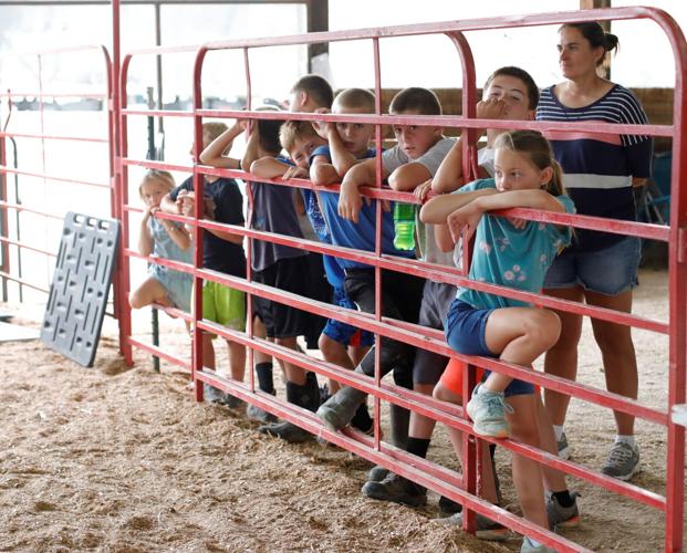 Dubois County 4-H Fair: Tuesday | Photos | duboiscountyherald.com