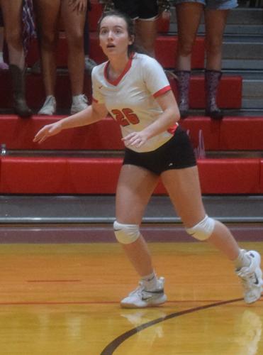 Eight Perry County volleyball players honored for academics | Perry ...