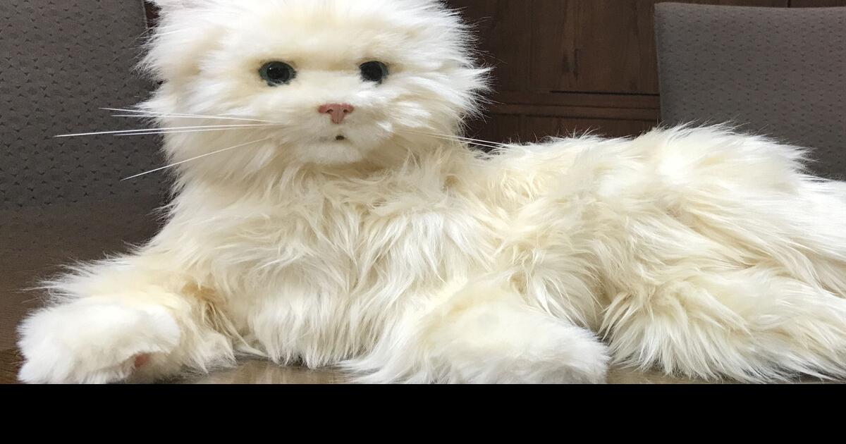 Robotic cats help soothe patients with dementia | Local News ...