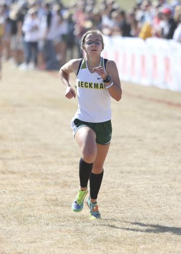 Blazers place sixth, 10th at Monticello meet | Sports ...