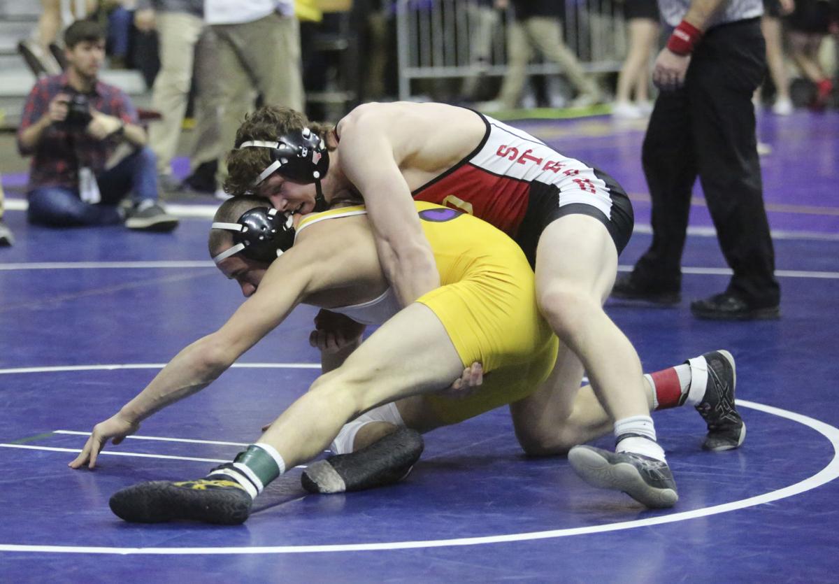 2020 WD STATE WRESTLING | Gallery | dyersvillecommercial.com