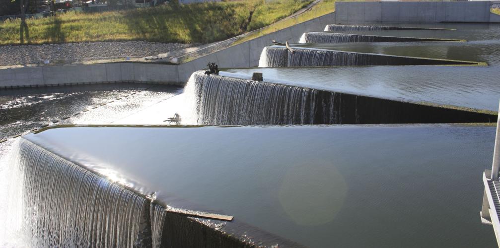 An inside look of the Lake Delhi Dam | News | dyersvillecommercial.com