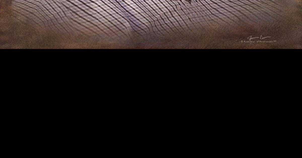 Richard 'Dick' Roling | Obituaries | dyersvillecommercial.com