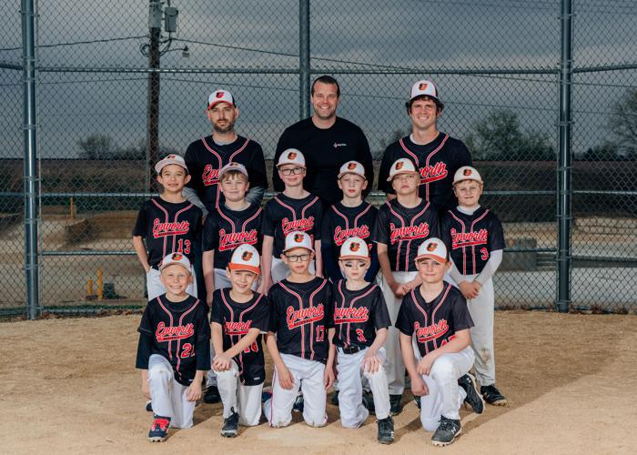 Little League- Baseball | | dyersvillecommercial.com