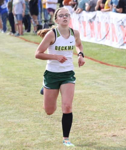 Schlarmann, Reiter pace Blazers at Clayton Ridge | Sports ...