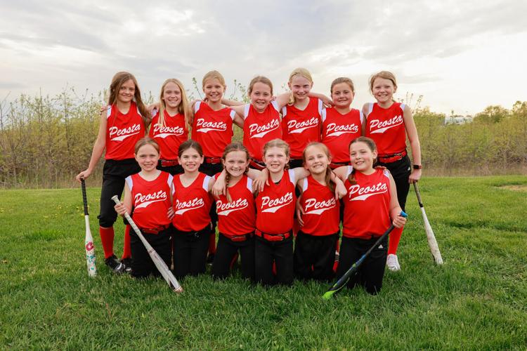 Little league- Softball | | dyersvillecommercial.com
