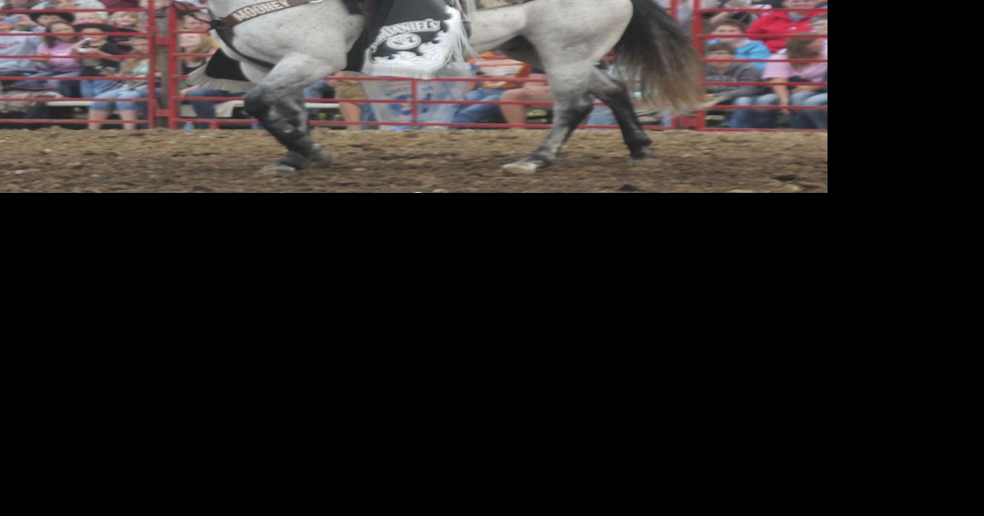 Edgewood Pro Rodeo | Multimedia | dyersvillecommercial.com