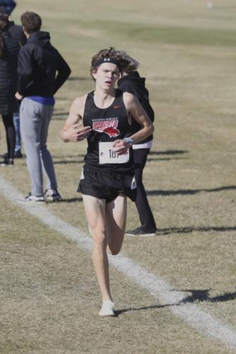 Bobcats cap off solid season at state | Sports | dyersvillecommercial.com