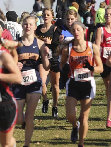 Fitzpatrick competes at state CC | Multimedia | dyersvillecommercial.com