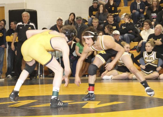 8 ‘Cats advance to district tournament | Sports | dyersvillecommercial.com