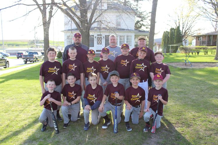 Little League- Baseball | | dyersvillecommercial.com