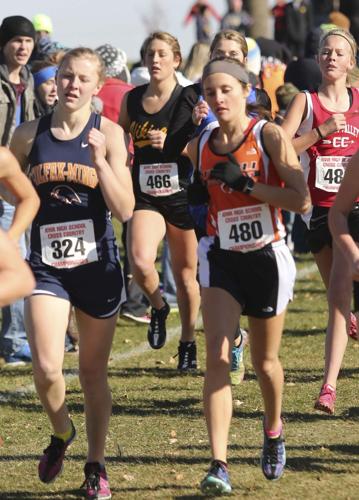Fitzpatrick competes at state CC | Multimedia | dyersvillecommercial.com