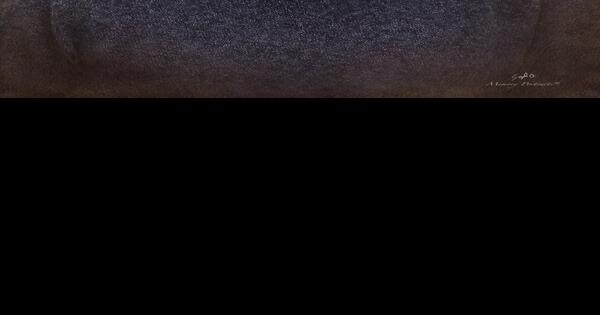 Neal J. McDermott | Obituaries | dyersvillecommercial.com