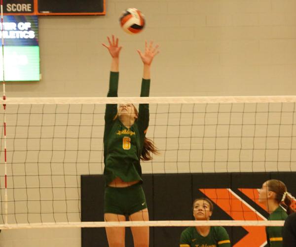 Blazers punch state volleyball ticket | Sports | dyersvillecommercial.com
