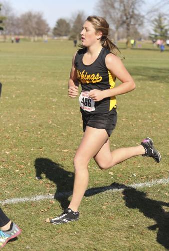 Fitzpatrick competes at state CC | Multimedia | dyersvillecommercial.com
