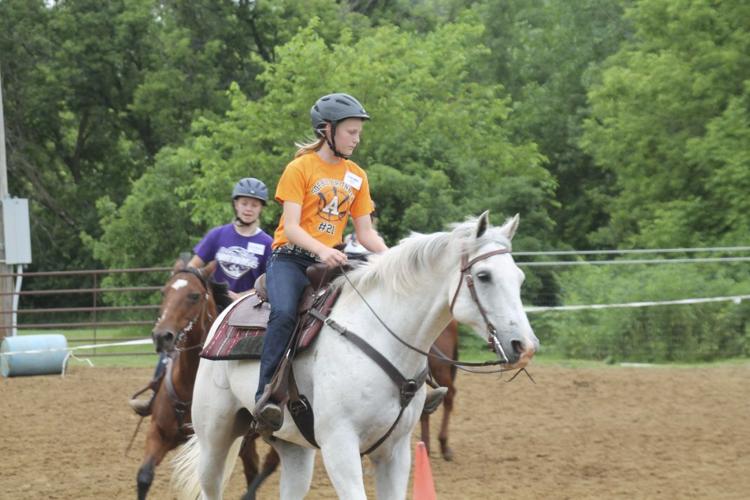 Horse and pony camp | Gallery | dyersvillecommercial.com