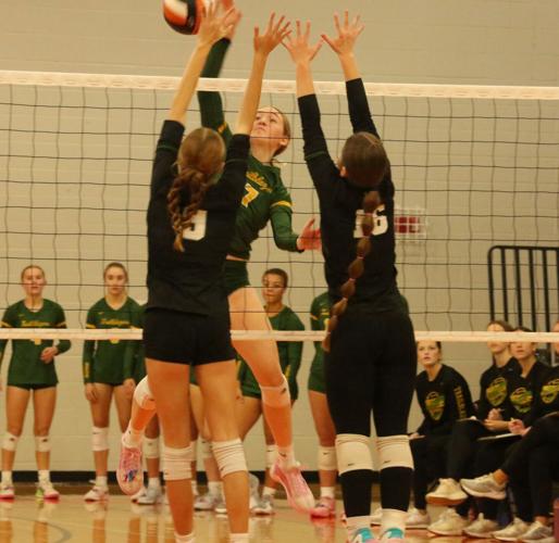 Blazers punch state volleyball ticket | Sports | dyersvillecommercial.com